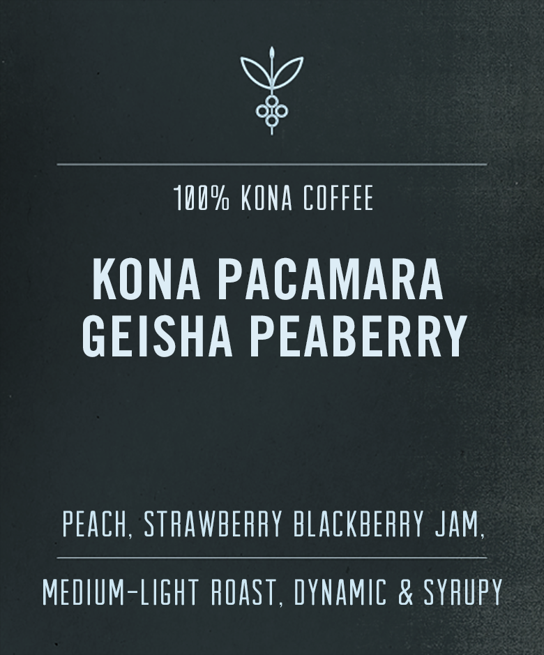 Kona Pacamara Geisha Peaberry - Big Island Coffee Roasters