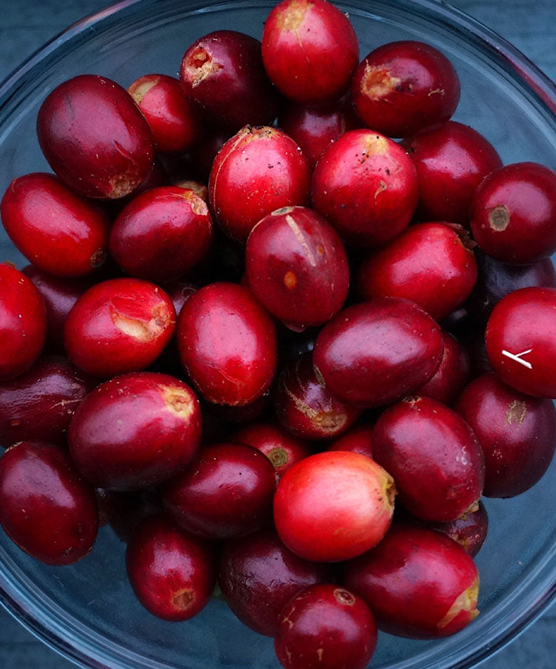 Hawaiian Rainbow Bourbon Coffee | Kona Red, Ka'u Yellow & Colombian ...